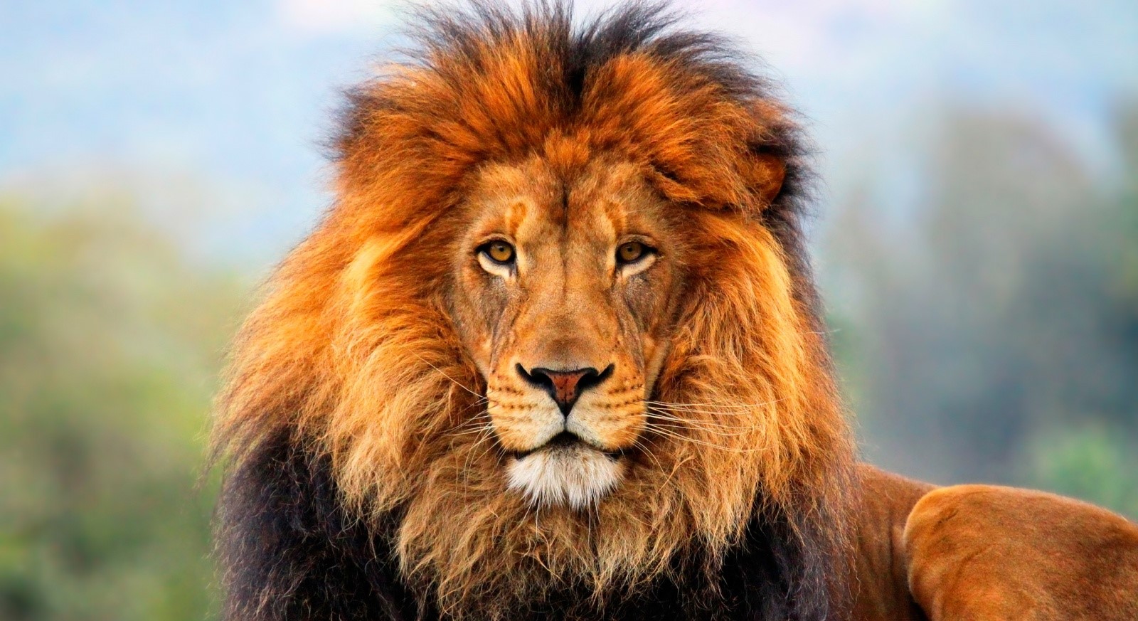The difference between fear and cowardice – Ingrid Gudenas